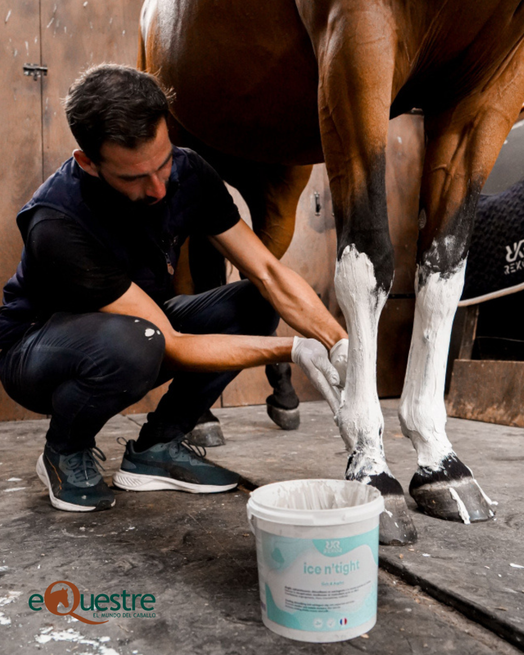 Pasta para tendones ice n´tigh 1.5KG REKOR - Comercial Equestre
