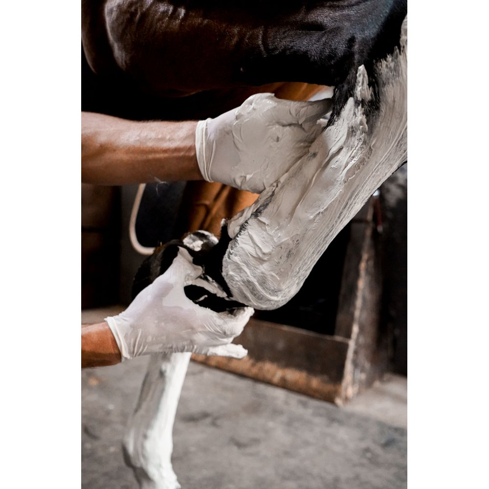 Pasta para tendones ice n´tigh 1.5KG REKOR - Comercial Equestre